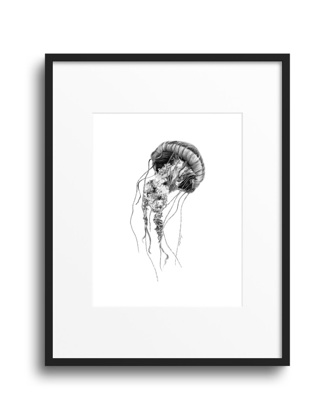 Jellyfish Ink Sketch | Original Art | Jennifer Delaney | Kelowna, BC