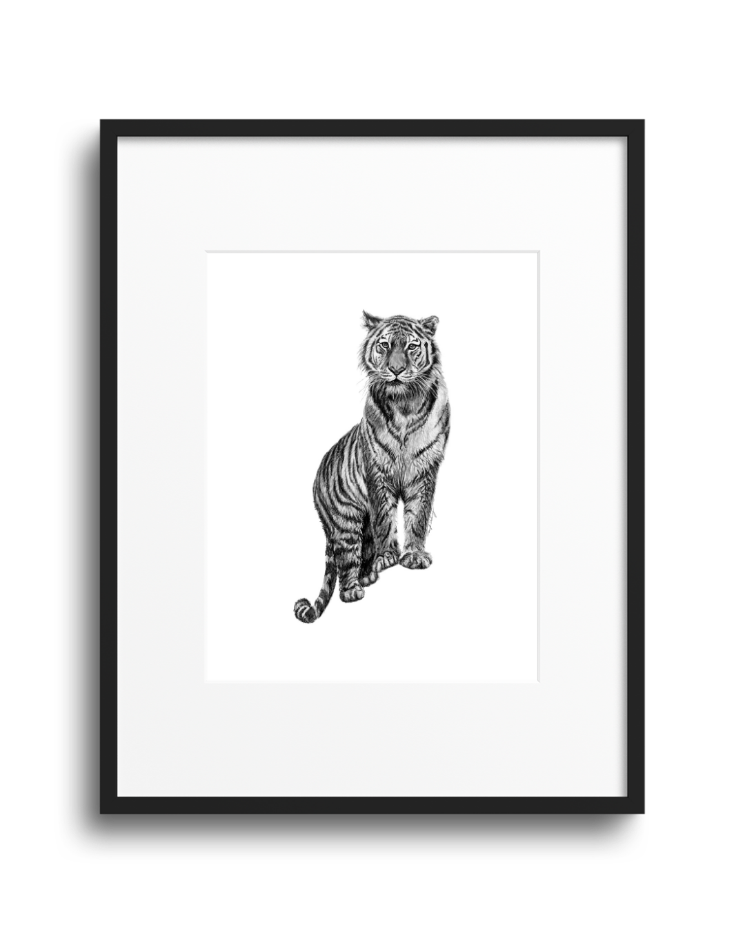 Tiger Ink Sketch | Original Art | Jennifer Delaney | Kelowna, BC